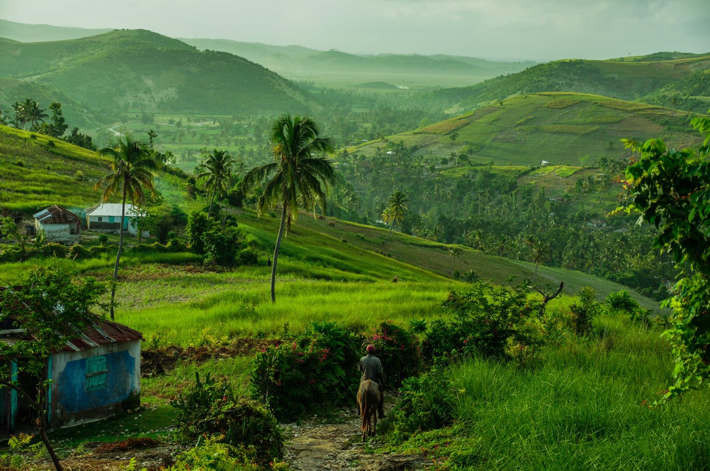 Cap Haiti Landscapes